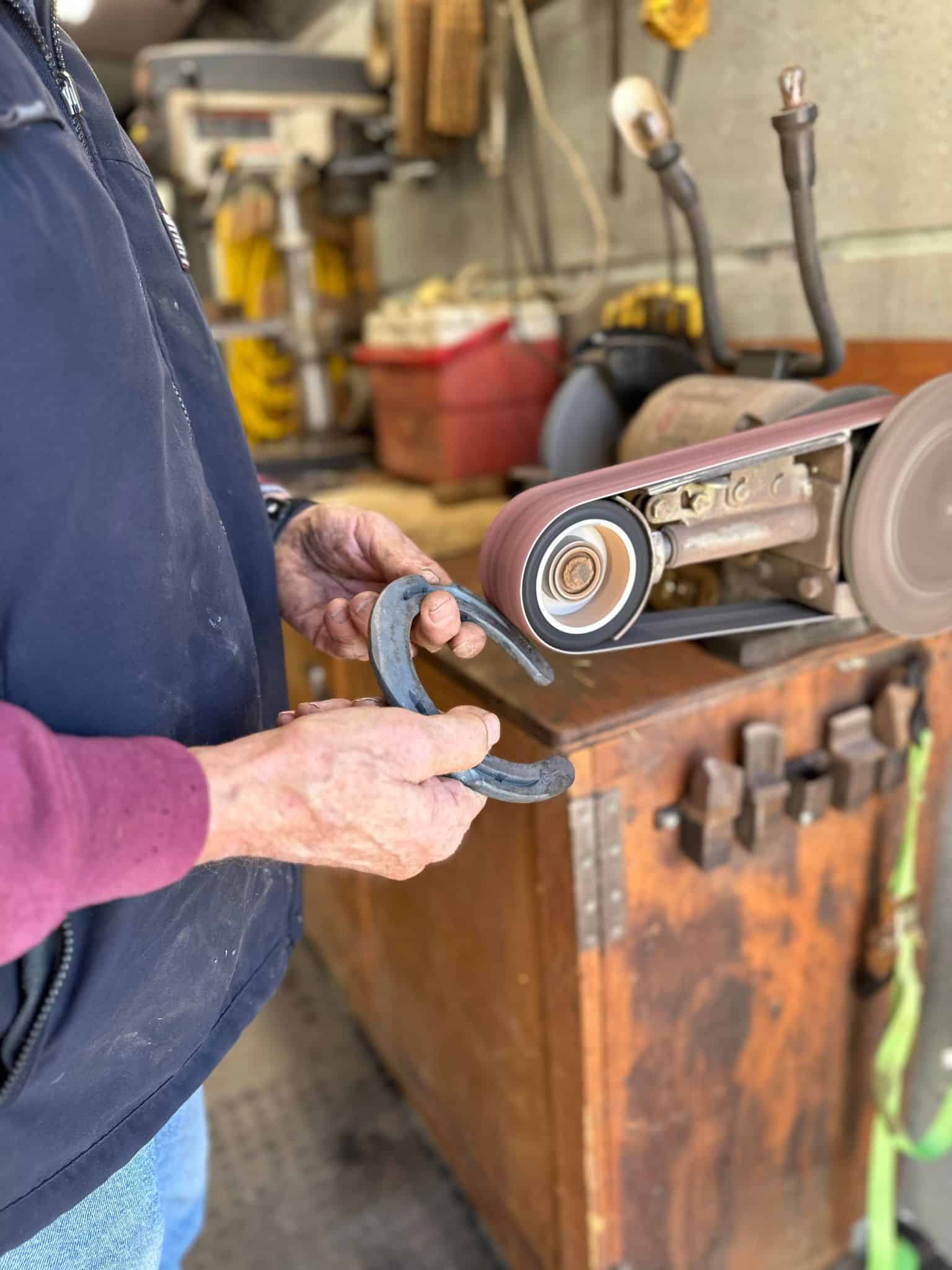 Farrier Services | Spur Ridge Vet Hospital